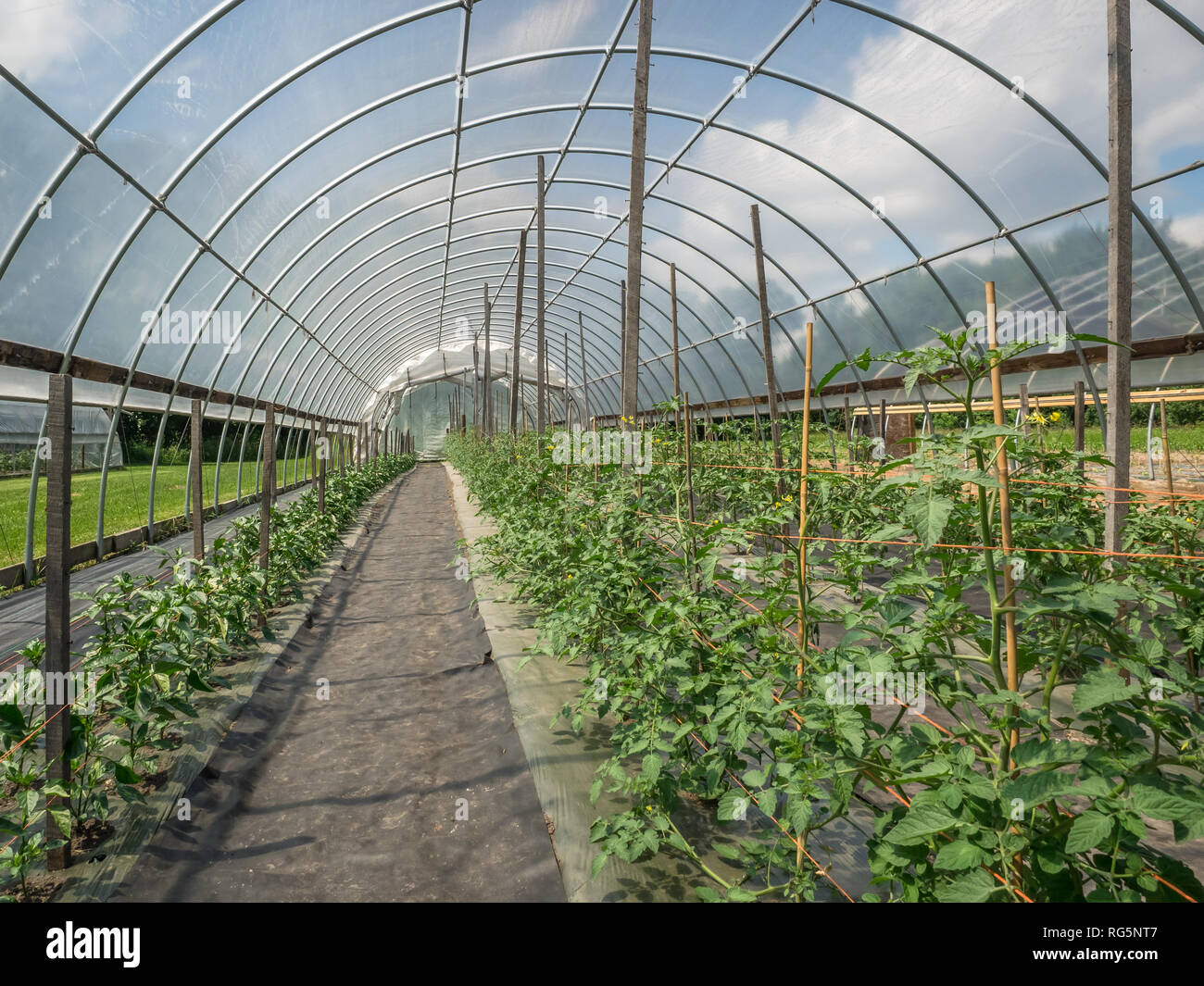 Hoophouse hi-res stock photography and images - Alamy
