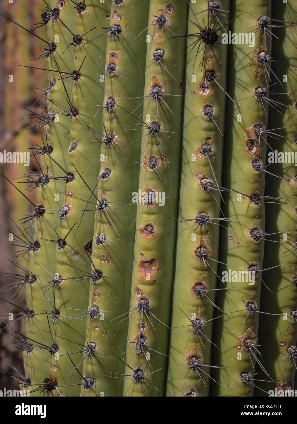 Sharp pattern hi-res stock photography and images - Alamy