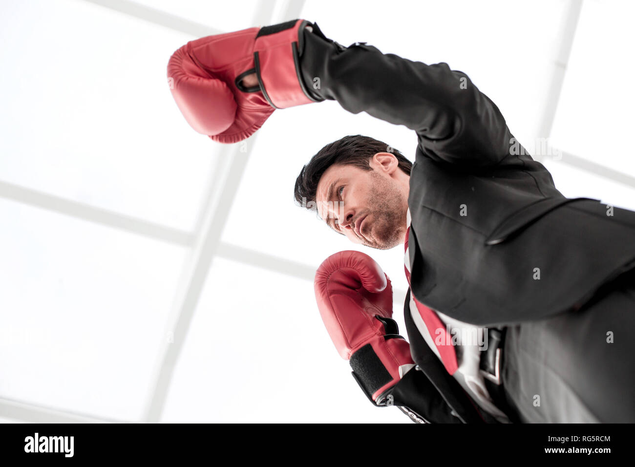 close up.serious businessman in Boxing gloves Stock Photo - Alamy
