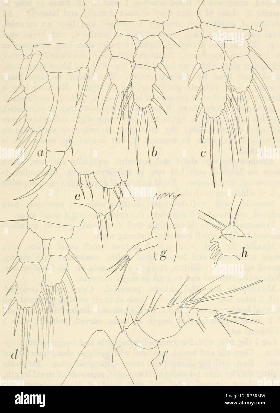Almost atoll hi-res stock photography and images - Alamy