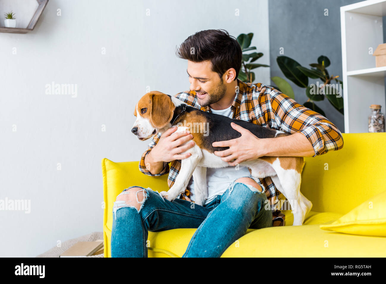 handsome man with beagle dog on sofa at home Stock Photo - Alamy