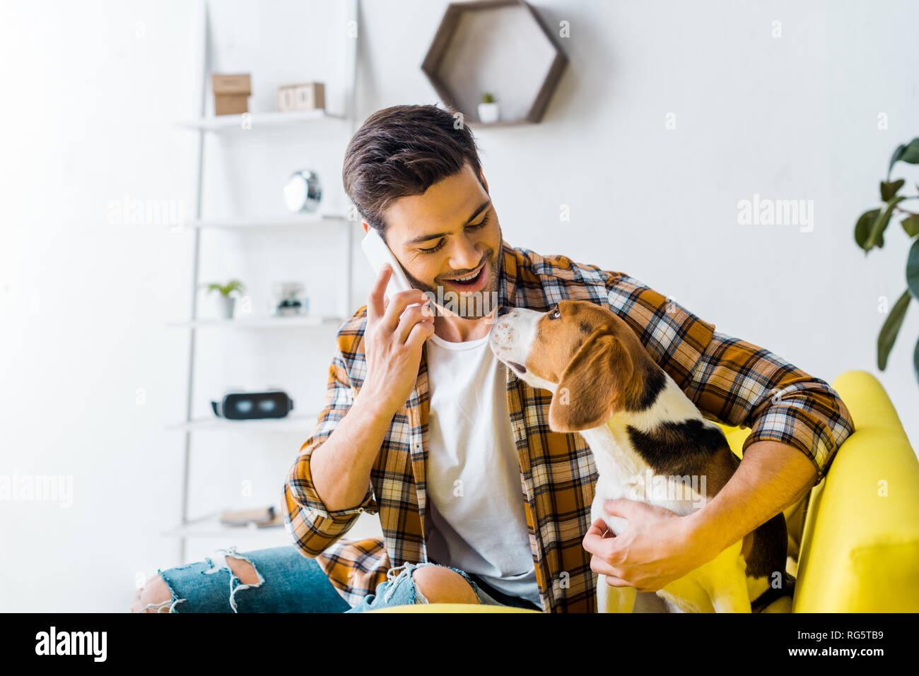 handsome smiling man talking on smartphone and looking at dog Stock ...