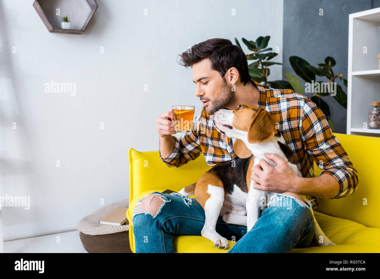Dog drinking tea hi-res stock photography and images - Alamy
