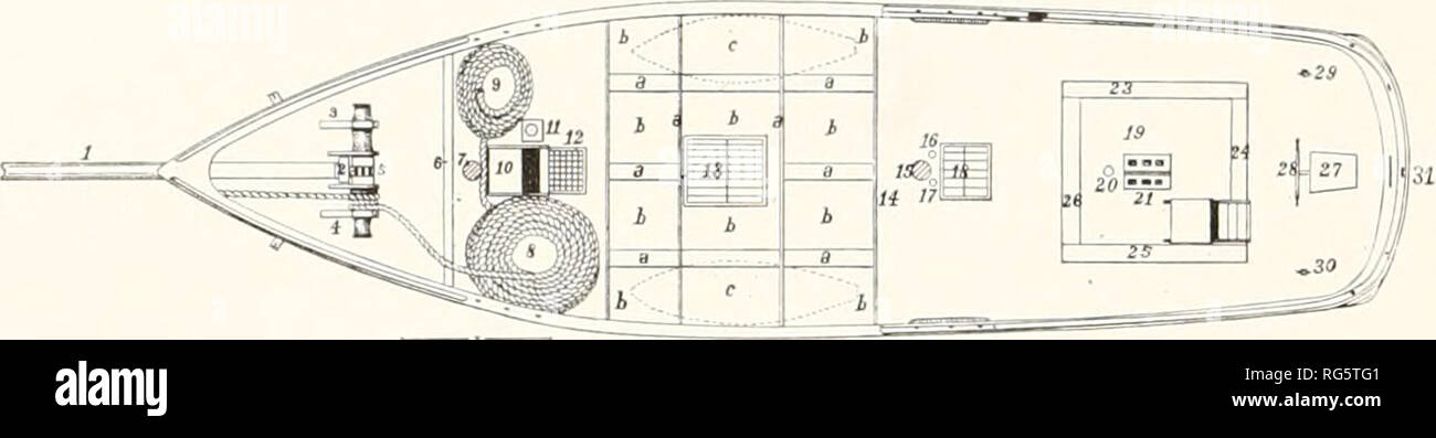 . Bulletin - United States National Museum. Science. A Clipper of the ...
