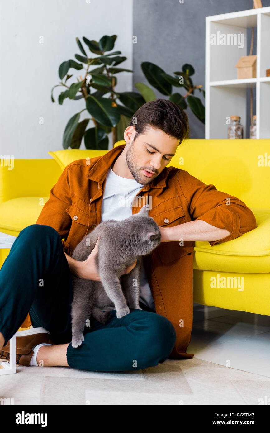 handsome man sitting on floor with british shorthair cat Stock Photo ...