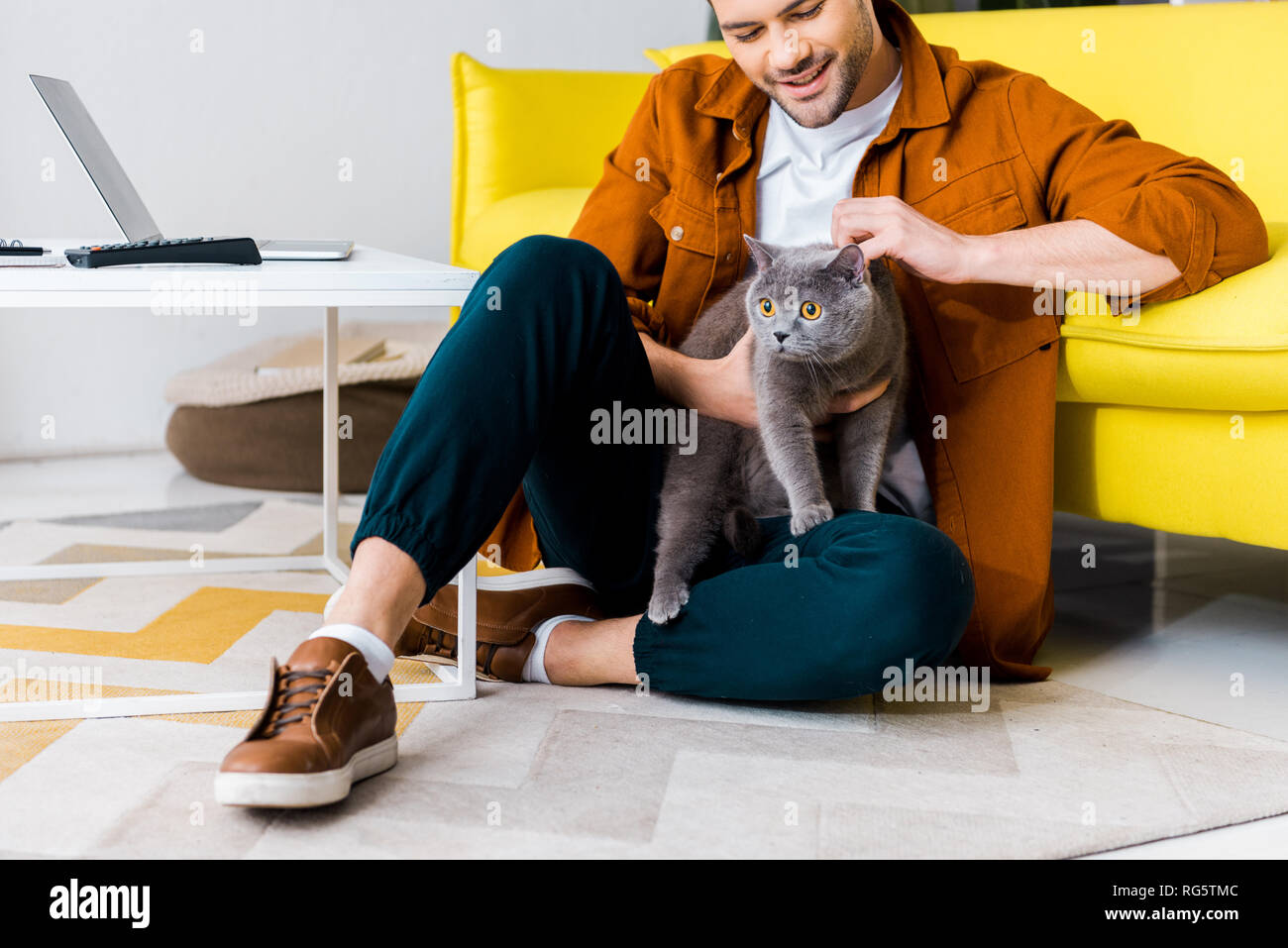 casual smiling man sitting on floor with british shorthair cat Stock ...