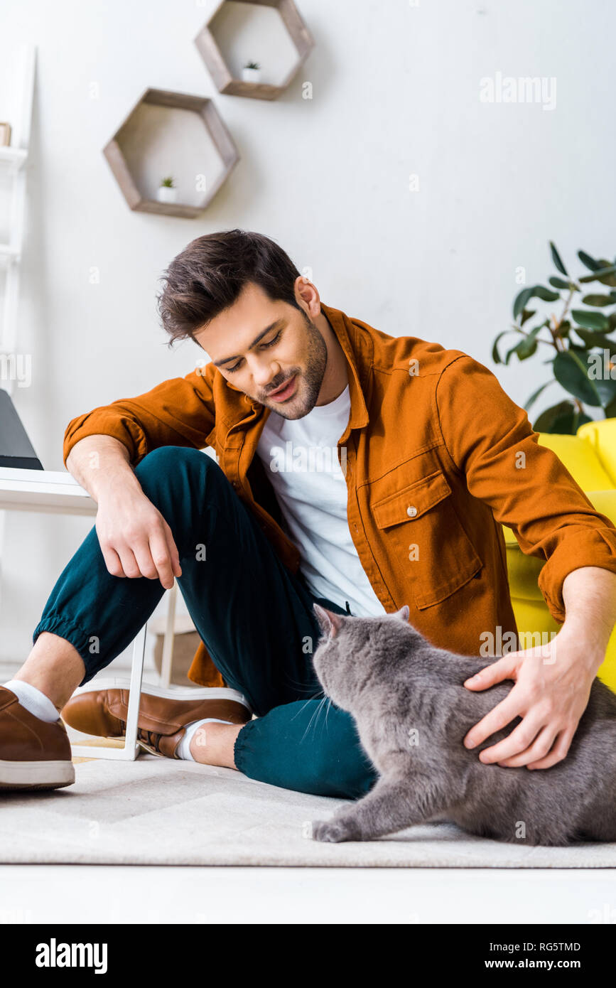 casual smiling man sitting on floor with british shorthair cat Stock ...