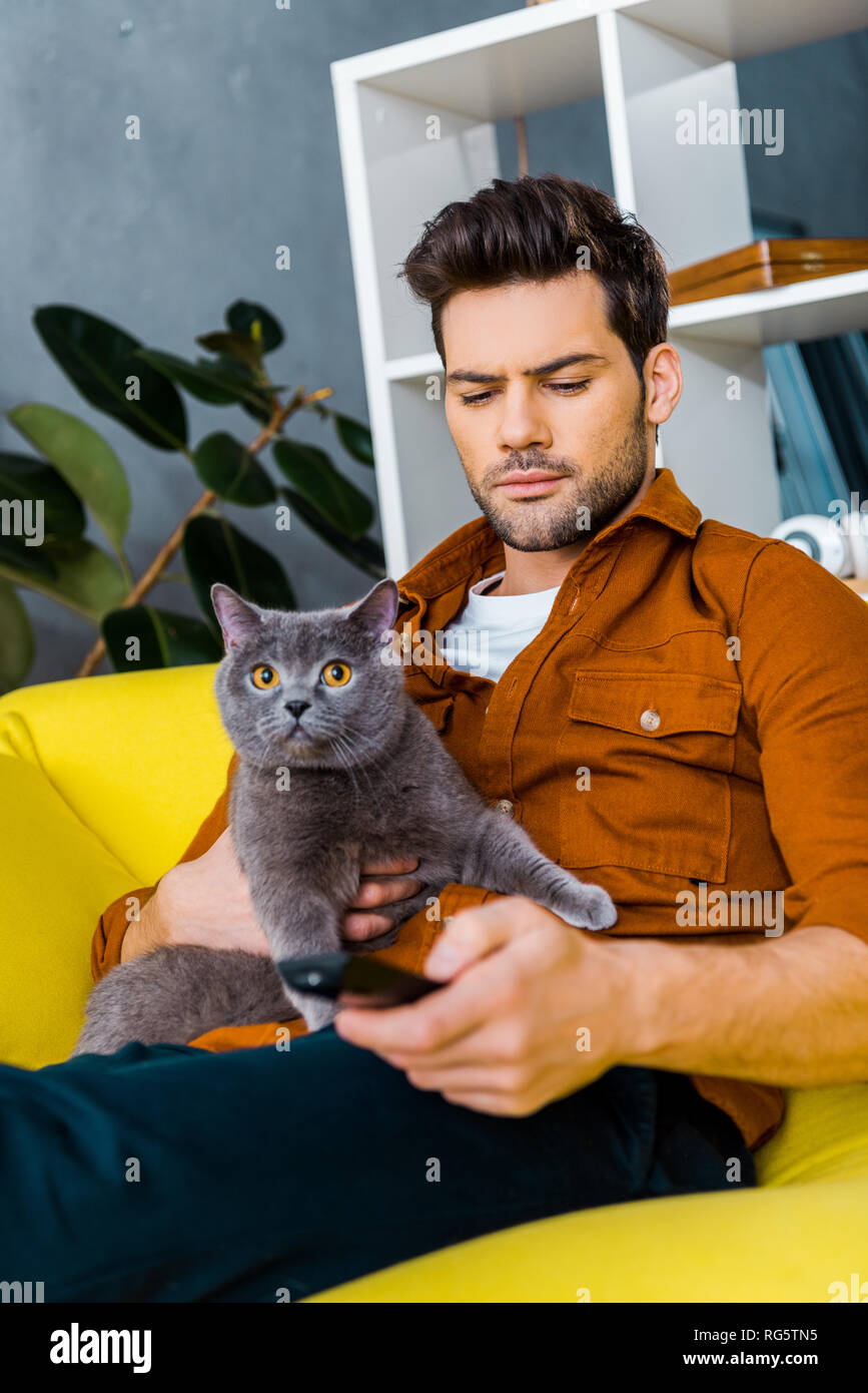 Cat with remote control hi-res stock photography and images - Alamy