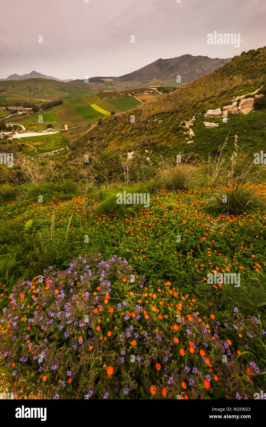 Sicily environment hi-res stock photography and images - Alamy