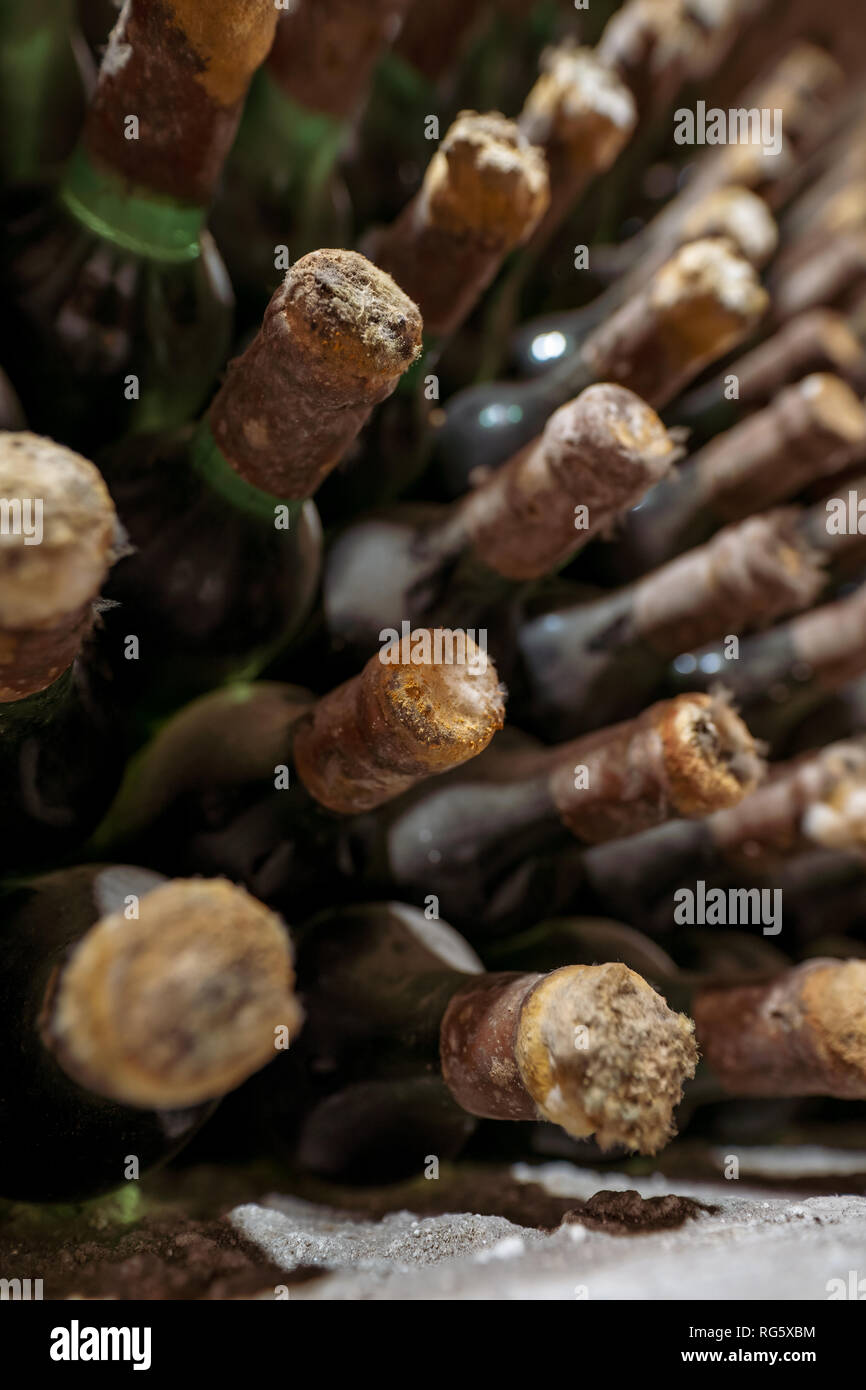 Champagne cellar ageing hi-res stock photography and images - Alamy