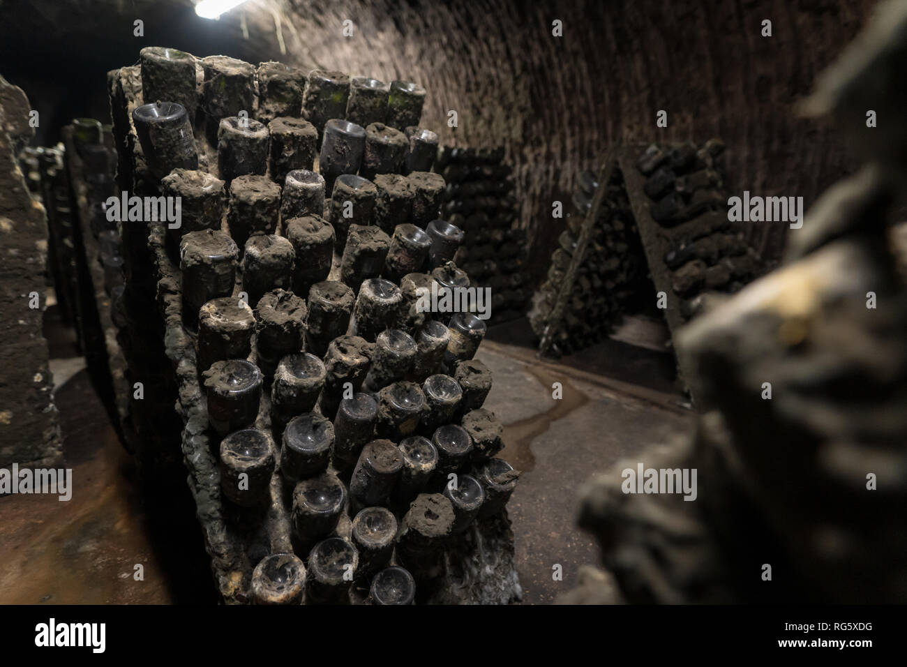 Wine cellar with old aging wine in racks covered in mold and dust Stock ...