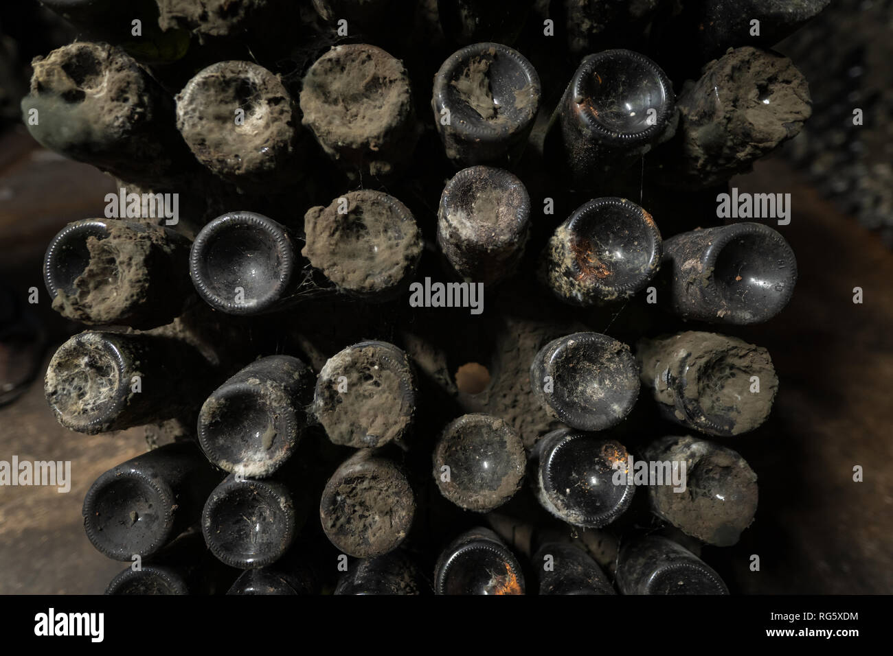 Wine aging bottles covered in dust and mold Stock Photo - Alamy