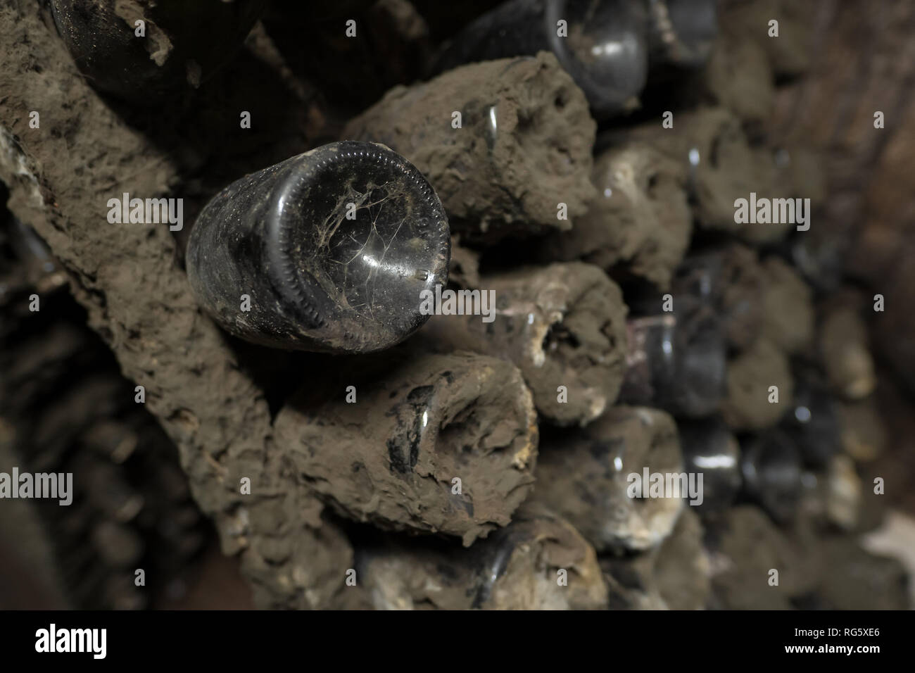 Winery old hi-res stock photography and images - Alamy