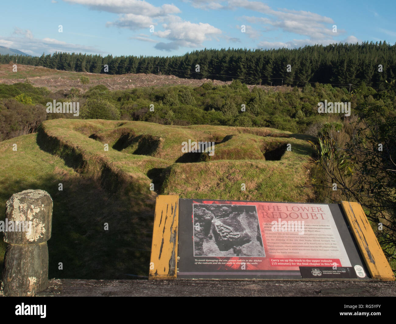 Te Porere, the earthworks of the lower redoubt, summer. Pine forest in ...