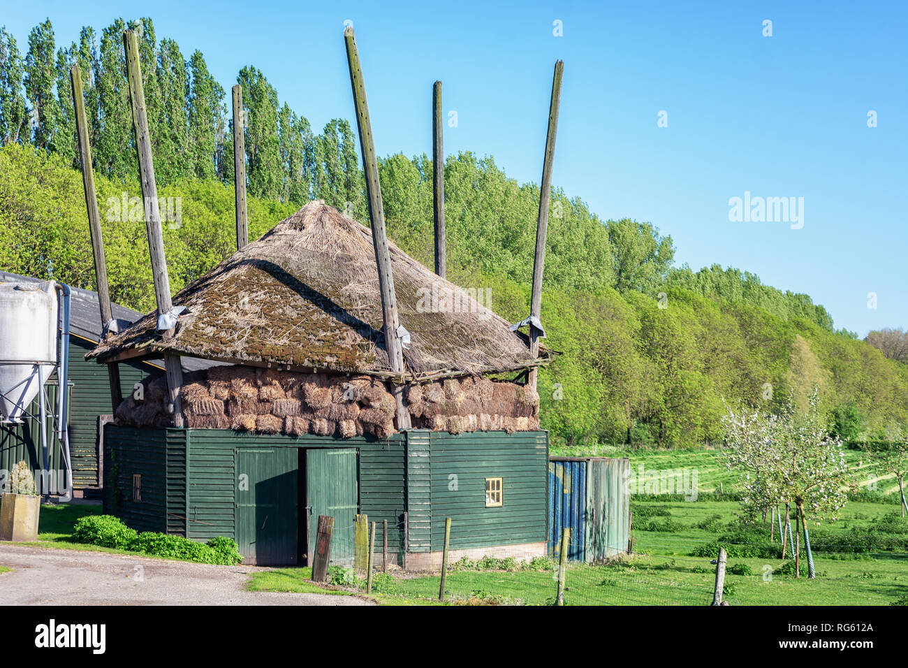 Orchard poles hi-res stock photography and images - Alamy