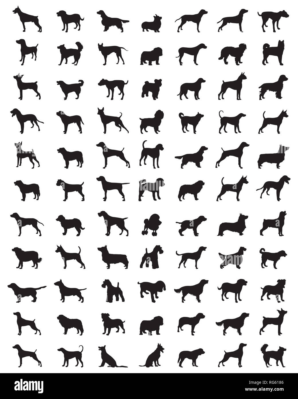 Set of dog breeds silhouettes hi-res stock photography and images - Alamy