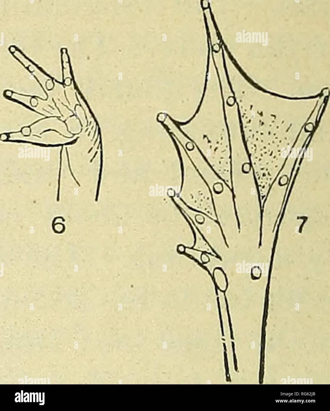 Number 3390 hi-res stock photography and images - Alamy