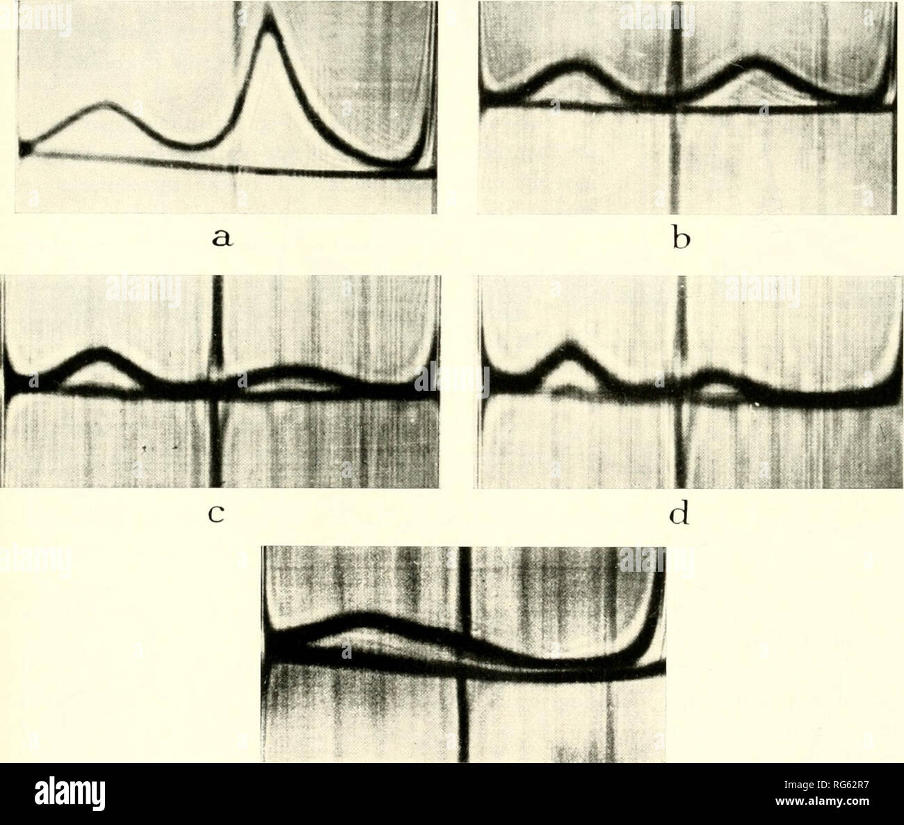 . Calcified tissues; proceedings. Bone; Collagen; Calcification ...