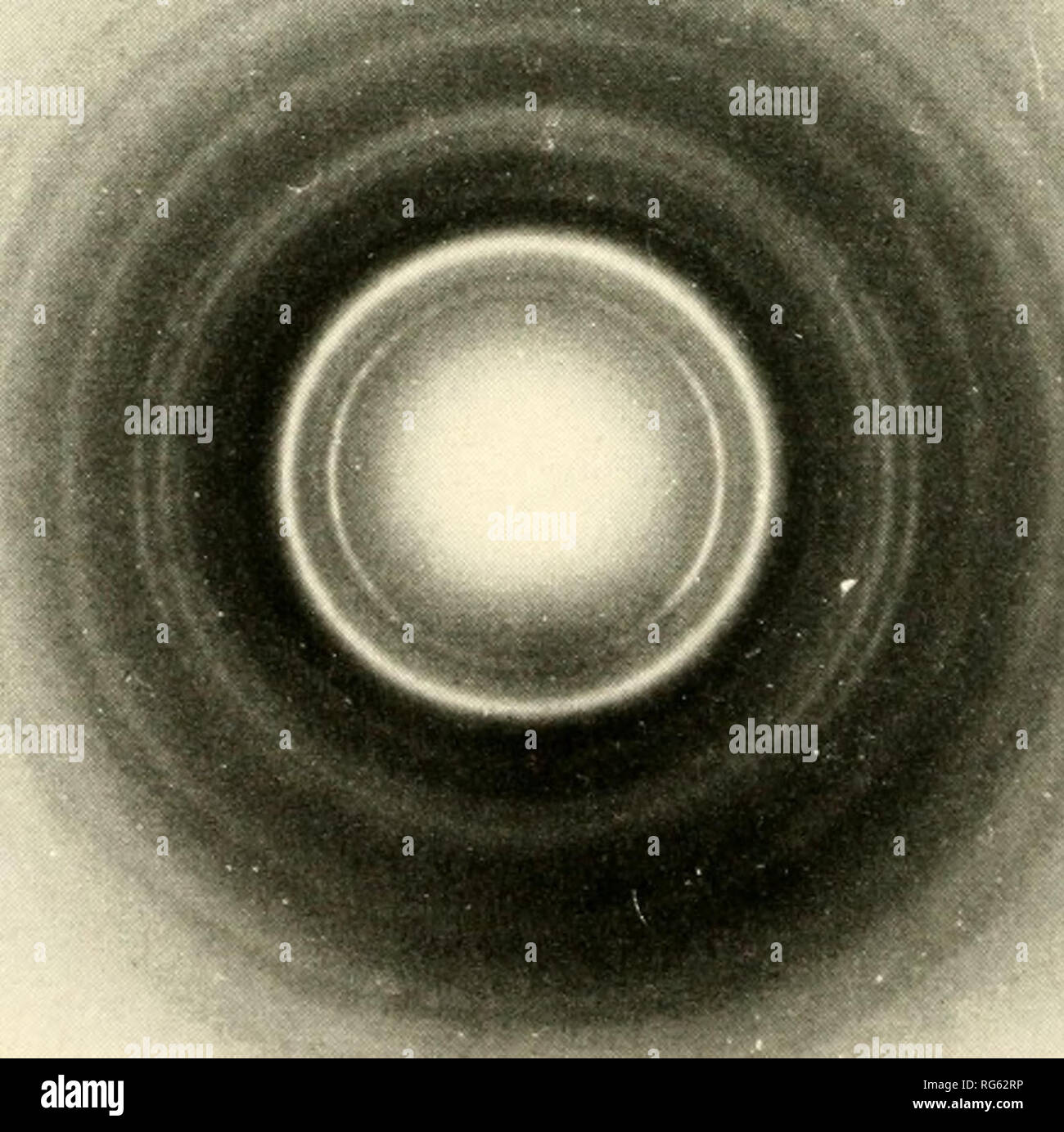 . Calcified tissues; proceedings. Bone; Collagen; Calcification. Fig ...