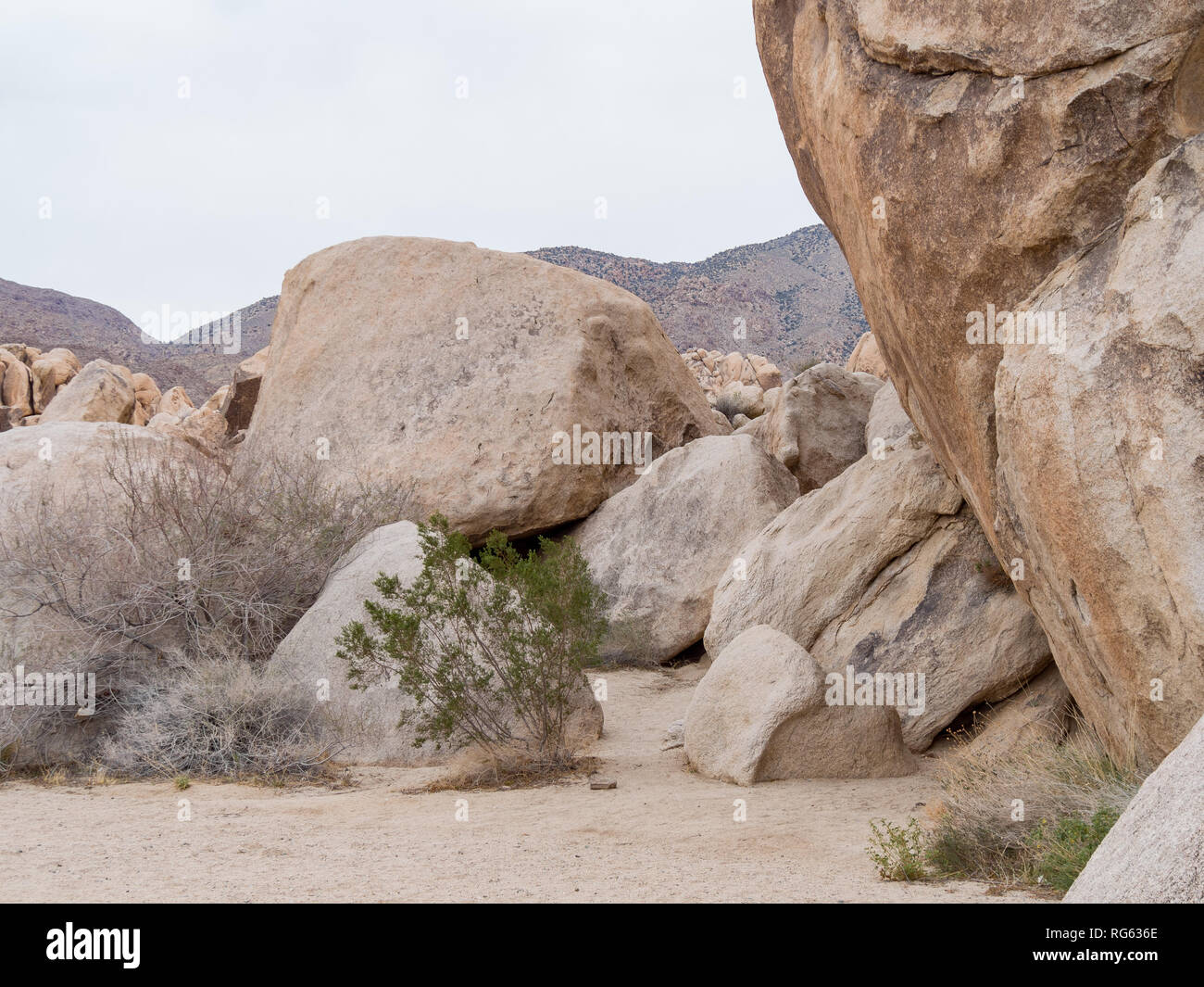 Huge rocks in the Joshua Tree National Park at California, United ...