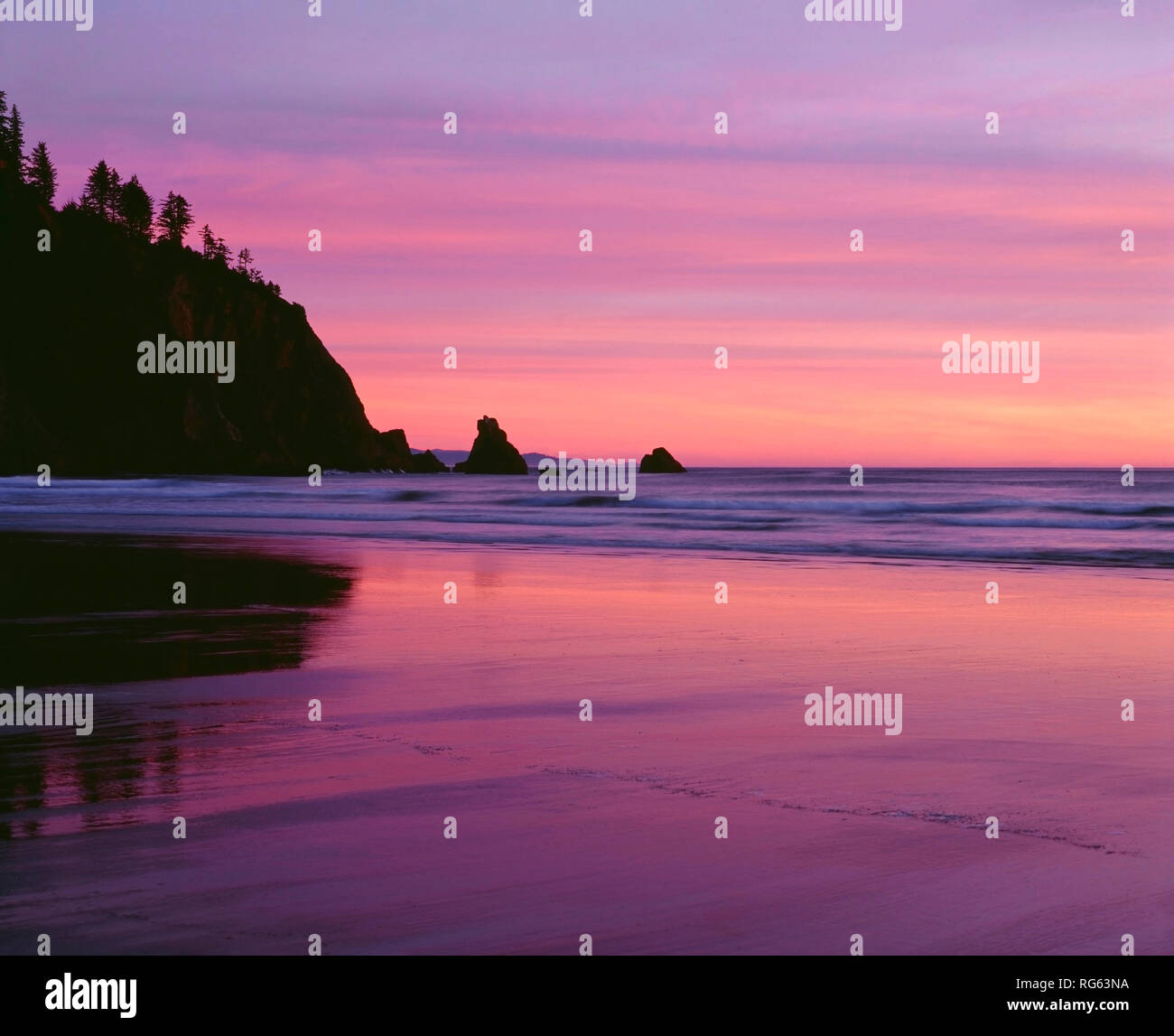 Oswald west state park short beach hi-res stock photography and images ...