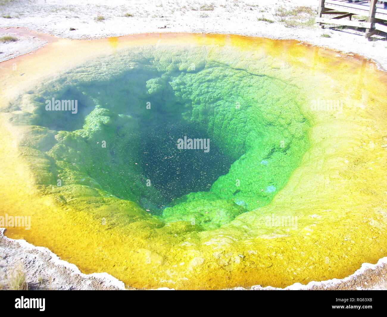 Big paint pot in Yellowstone National Park, USA Stock Photo - Alamy