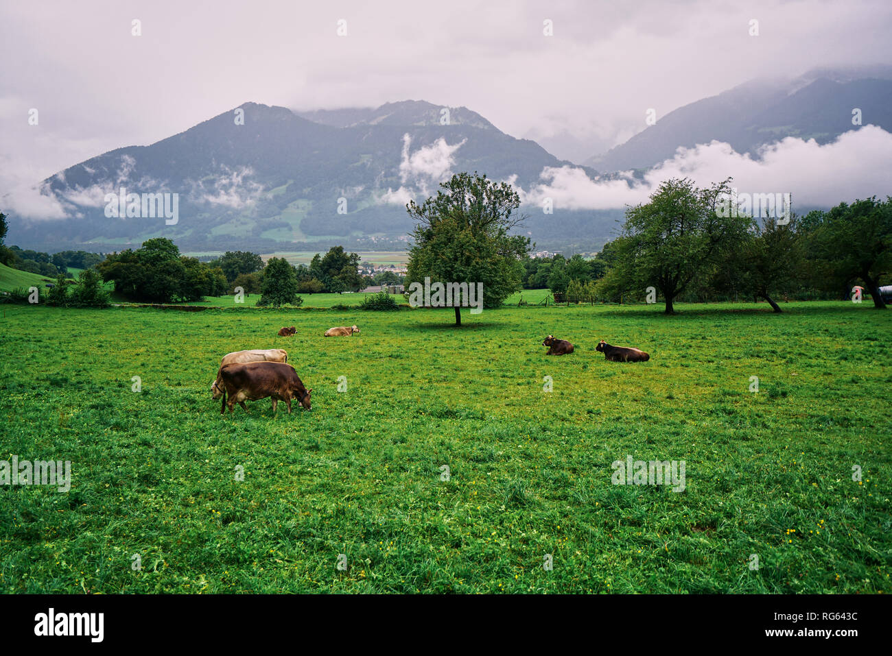 Heidi village hi-res stock photography and images - Alamy