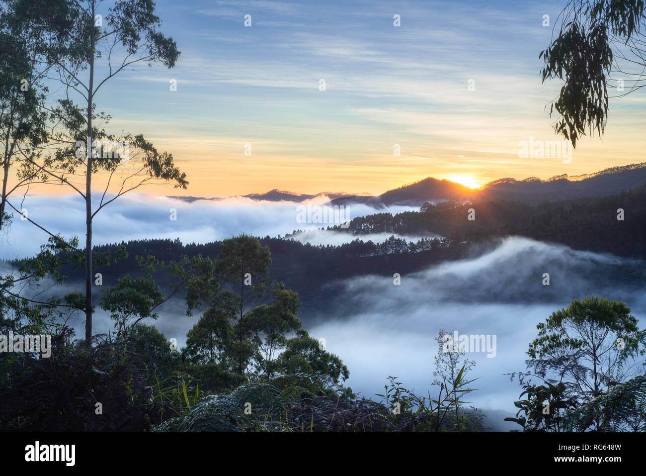 Misty dawn in Domingos Martins, Espirito Santo State, Brazil Stock ...