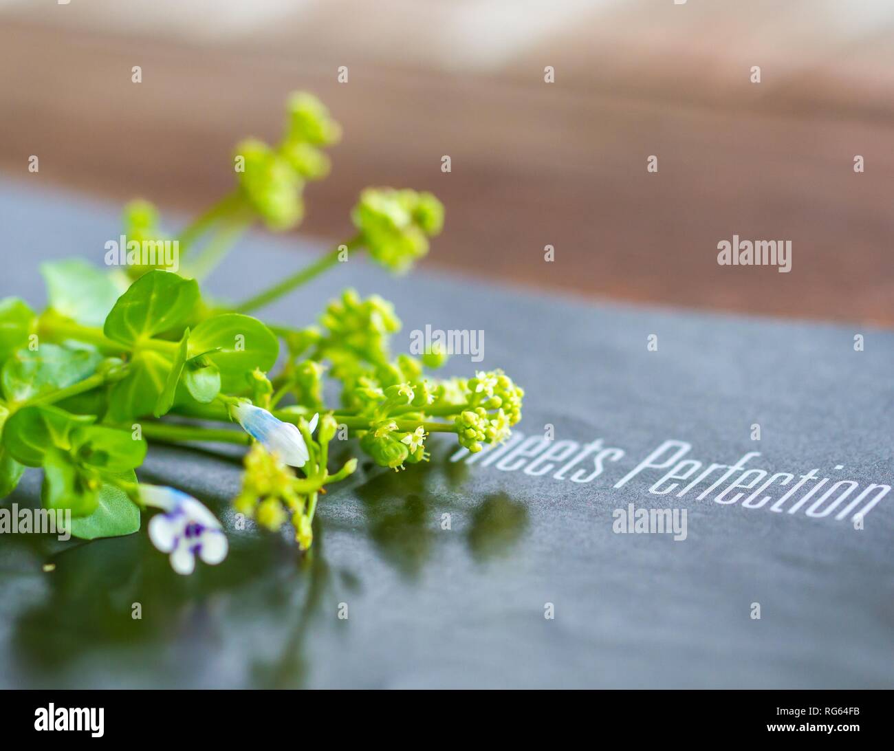 Flora background - flowers on top of magazine Stock Photo - Alamy