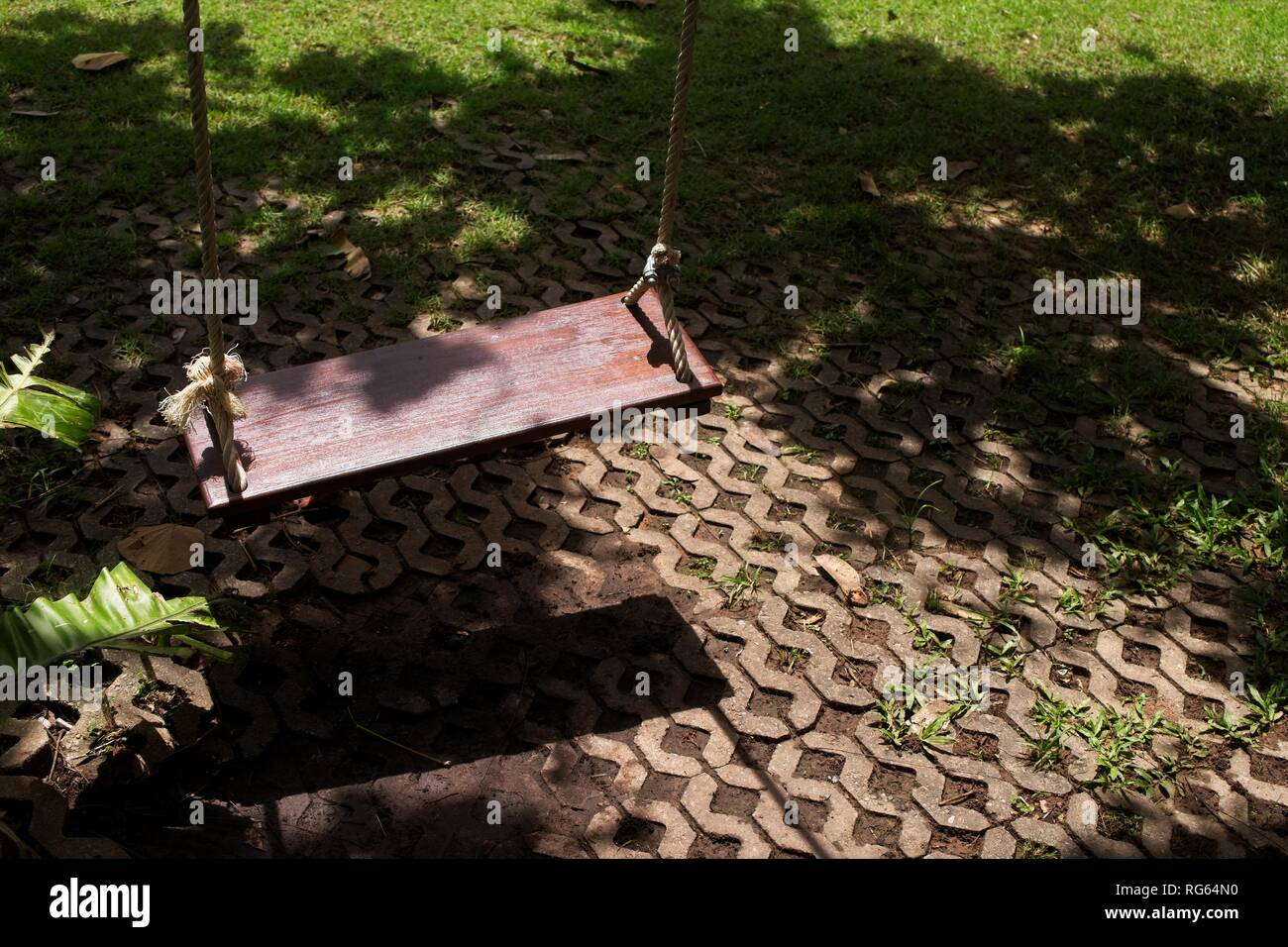 Empty Swing in tree shade Stock Photo - Alamy