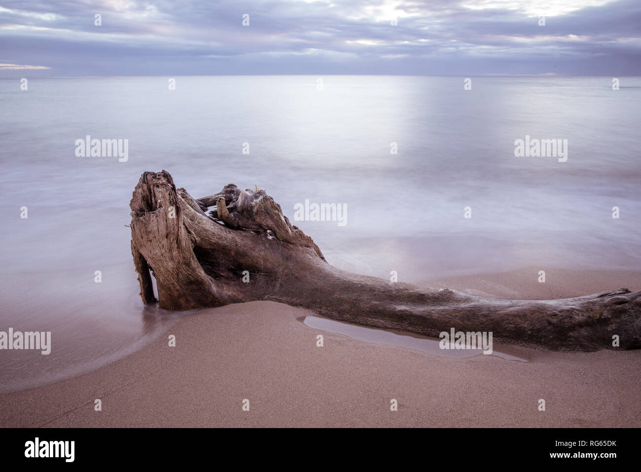 Beach Wood Texture High Resolution Stock Photography and Images - Alamy