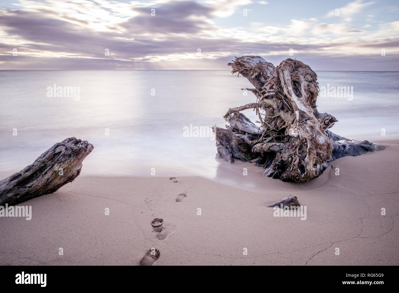 Beach Wood Texture High Resolution Stock Photography and Images - Alamy