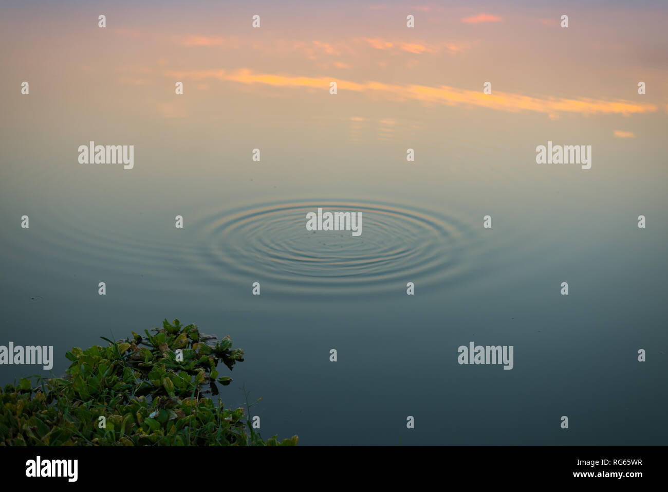 Calm sea ocean river ripple hi-res stock photography and images - Alamy