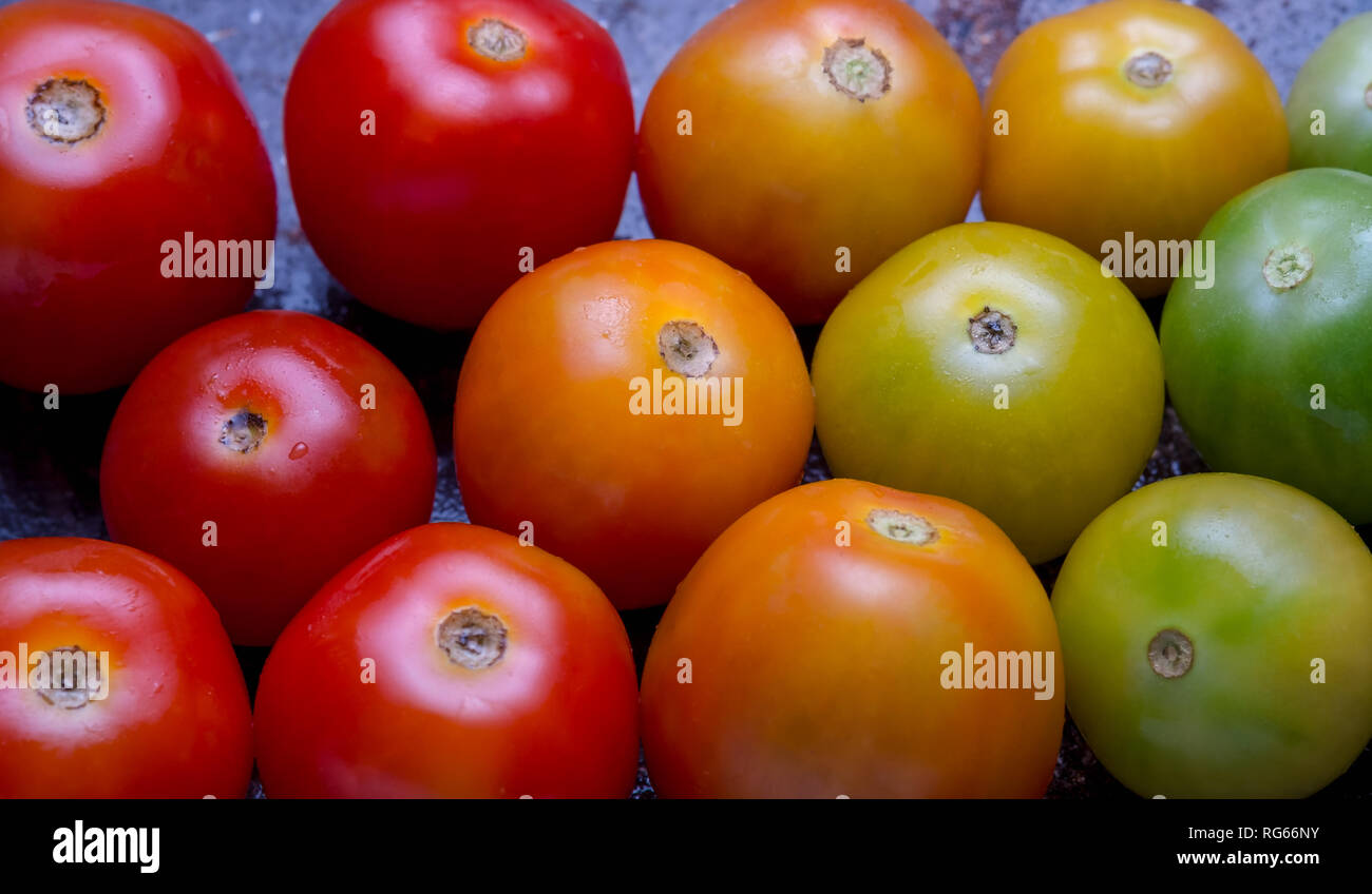 Various colors of tomatoes Stock Photo - Alamy