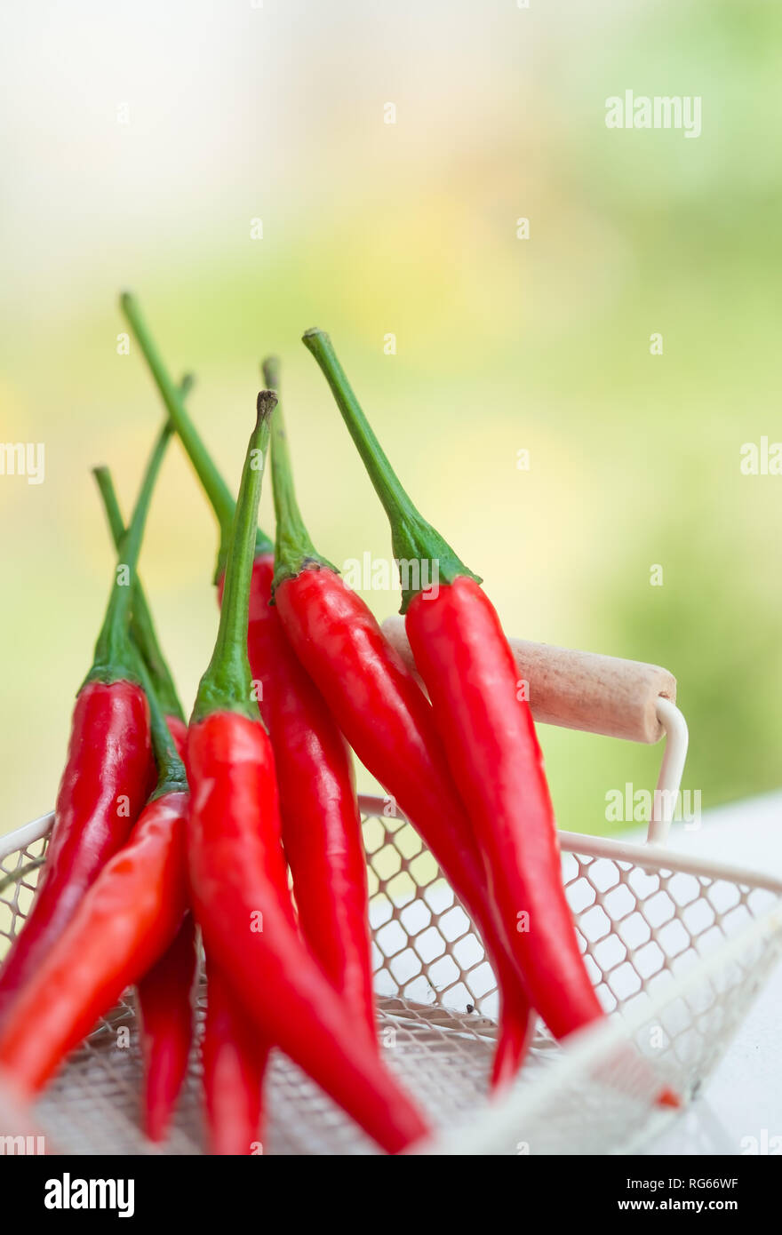 Red chili pepper in wire mesh basket Stock Photo - Alamy
