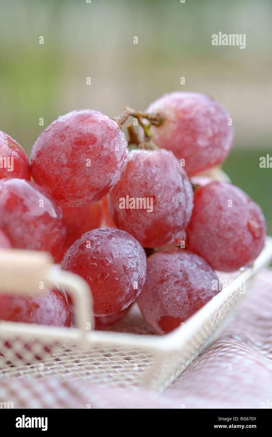 Grapes in wire mesh basket Stock Photo - Alamy