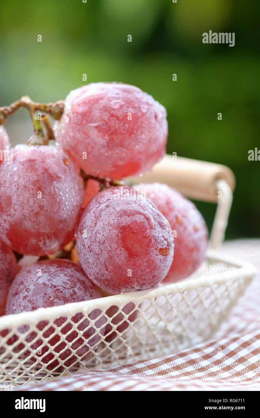 Grapes in wire mesh basket Stock Photo - Alamy