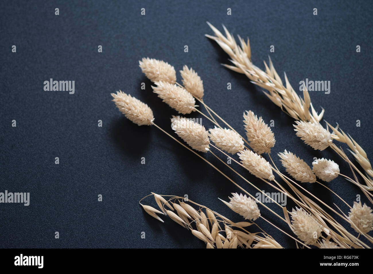 Dried flower for handcraft Stock Photo - Alamy
