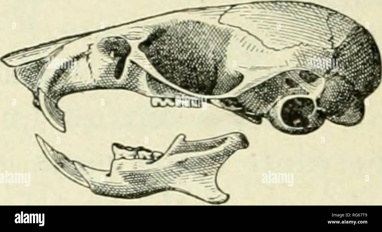 Strongly depressed hi-res stock photography and images - Alamy