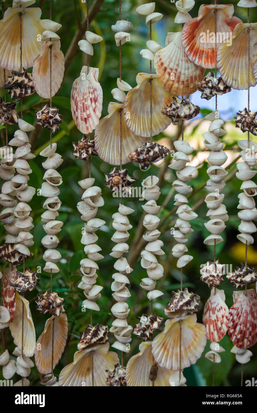 Hanging mobile of shell Stock Photo - Alamy
