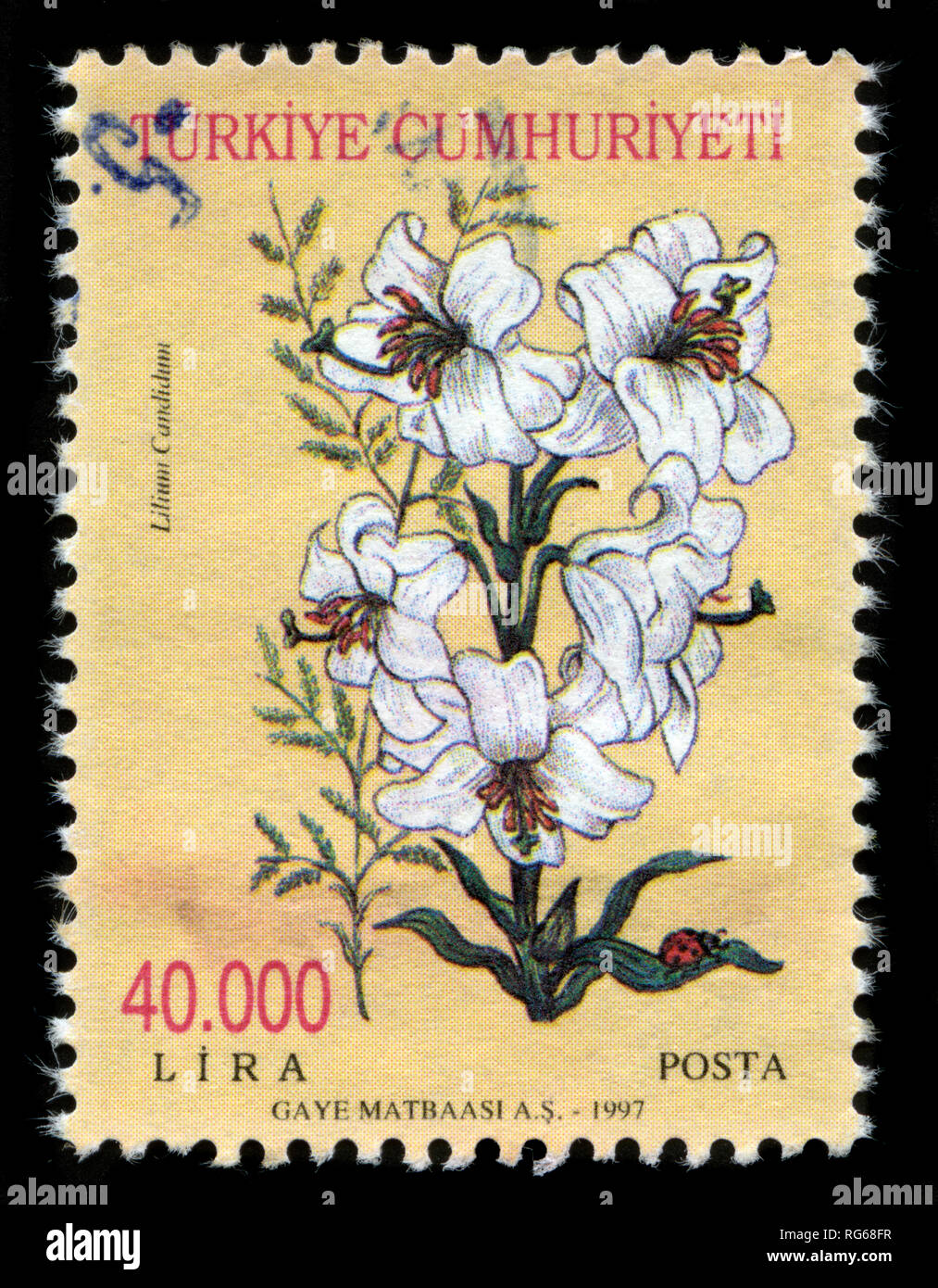 Postage stamp from Turkey in the Postal Stamps: Flowers series issued ...