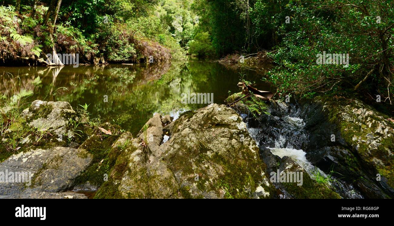 The wishing pool on the wishing pool circuit walk, Eungella National ...