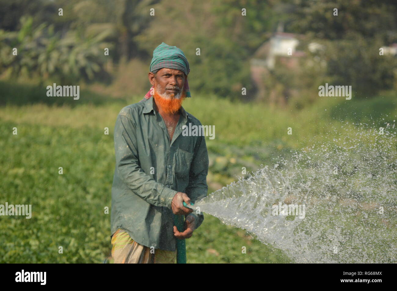 workman in the flied Stock Photo - Alamy