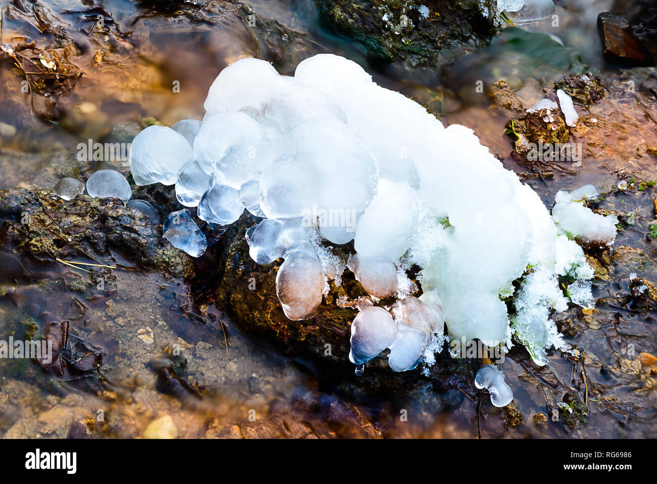 Separate and stuck together drops of ice that grow different colors ...