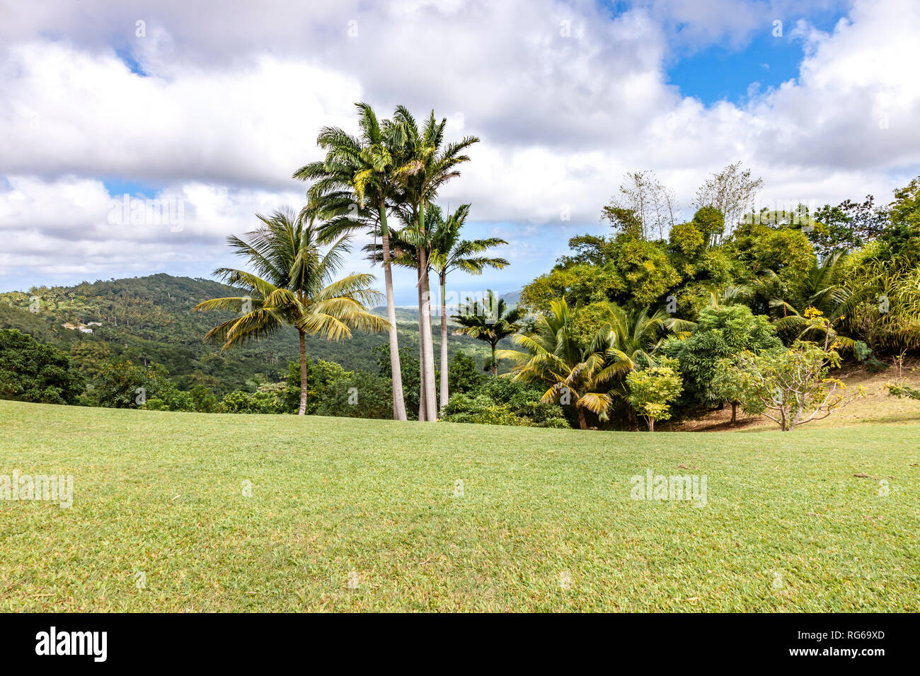 Barbados adventure hi-res stock photography and images - Alamy
