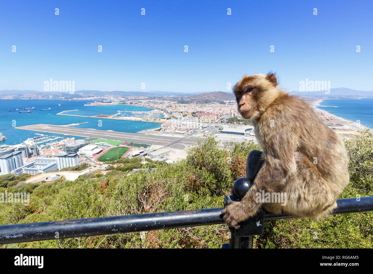 Gibraltar - July 29, 2018: Gibraltar Airport (GIB) with ape monkey in ...