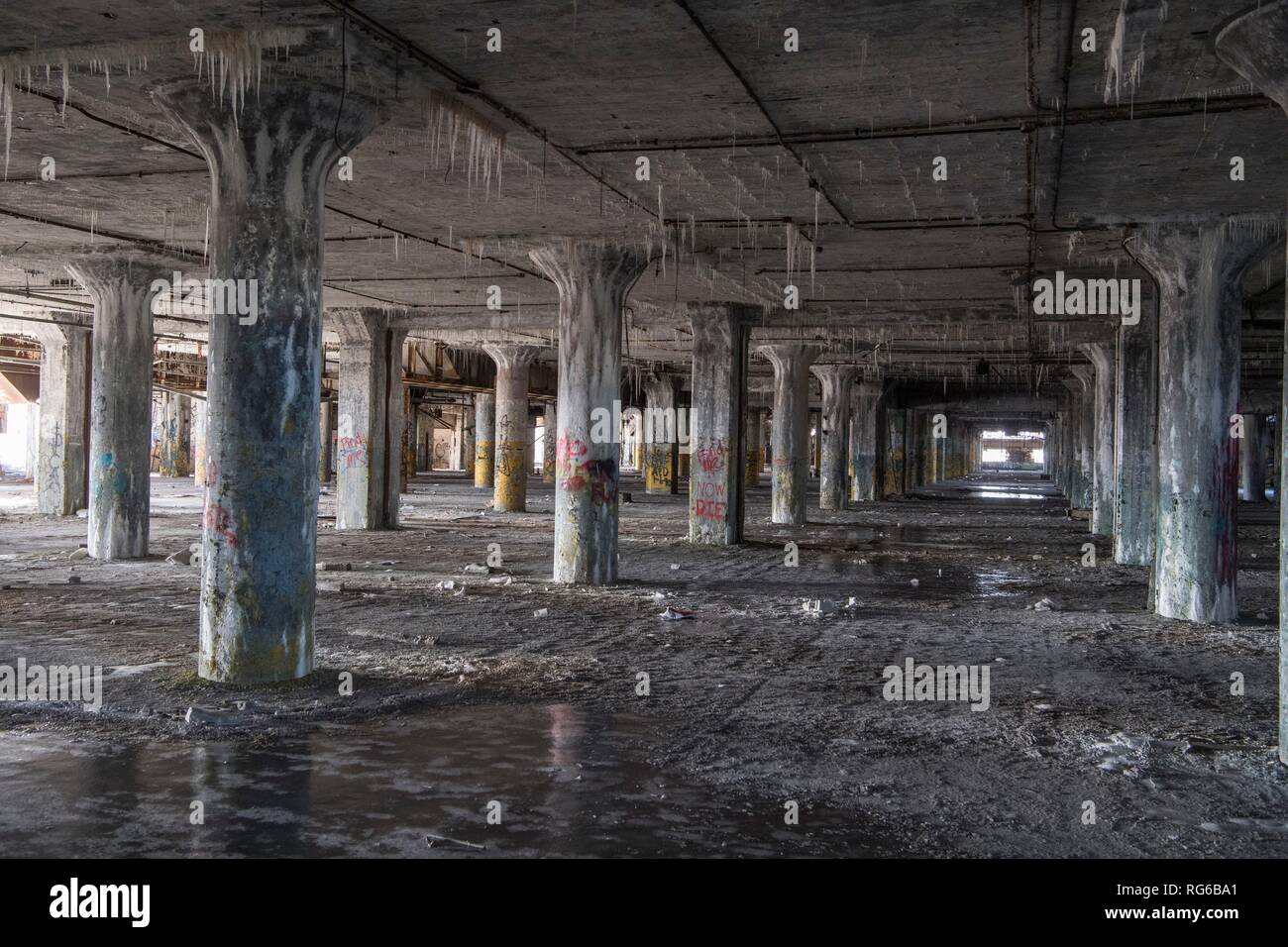 Chaos and destruction characterize the picture in the Fisher car plan ...