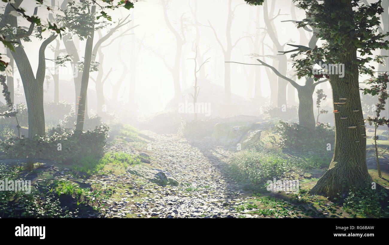 path through magical forest at sunrise, landscape illustration Stock ... path through magical forest at sunrise, landscape illustration Stock ...