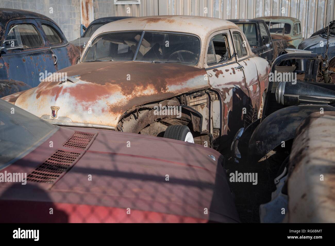 Exposed to decay are old cars that rust on 13 January 2019 on a ...