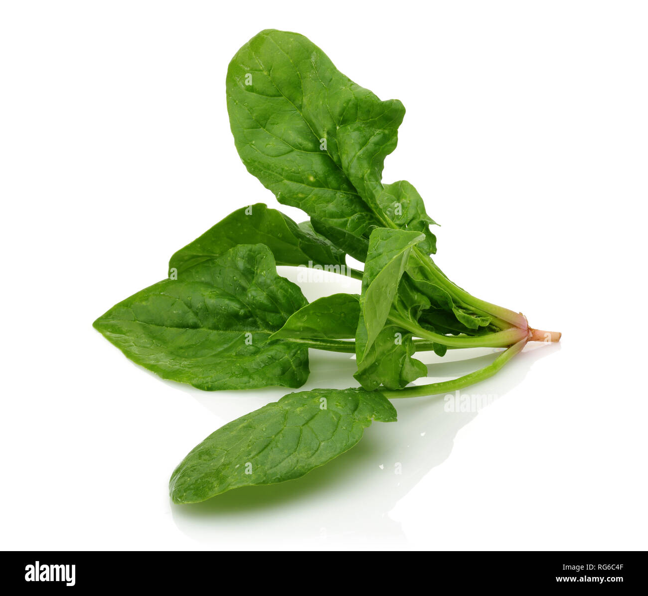 Fresh spinach isolated on white background Stock Photo - Alamy
